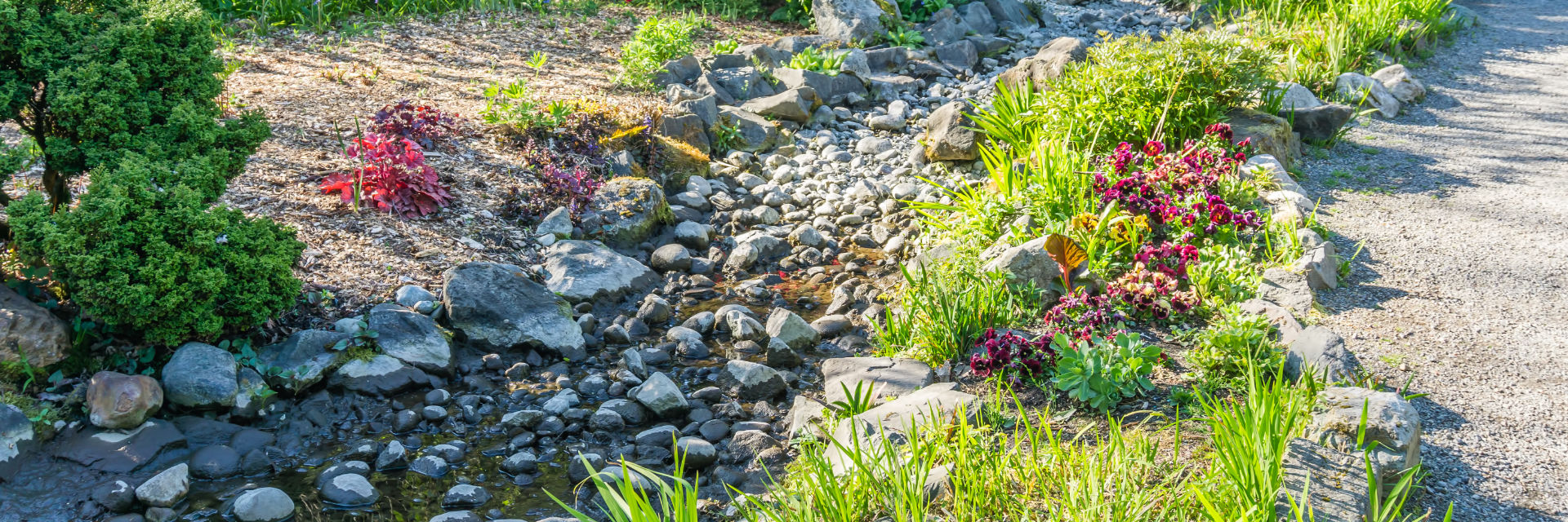 Natural Creek Landscaping: 5 Beautiful Ideas for Your Backyard