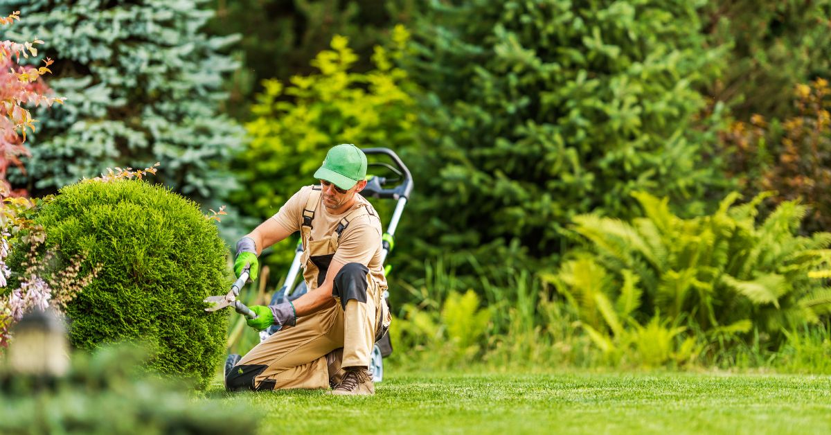 How To Choose The Right Landscape Service in Atlanta